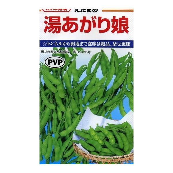 野菜種　枝豆　湯あがり娘 種・苗・農業資材品揃え豊富！農家さん御用達のお店　グリーンロフトネモト