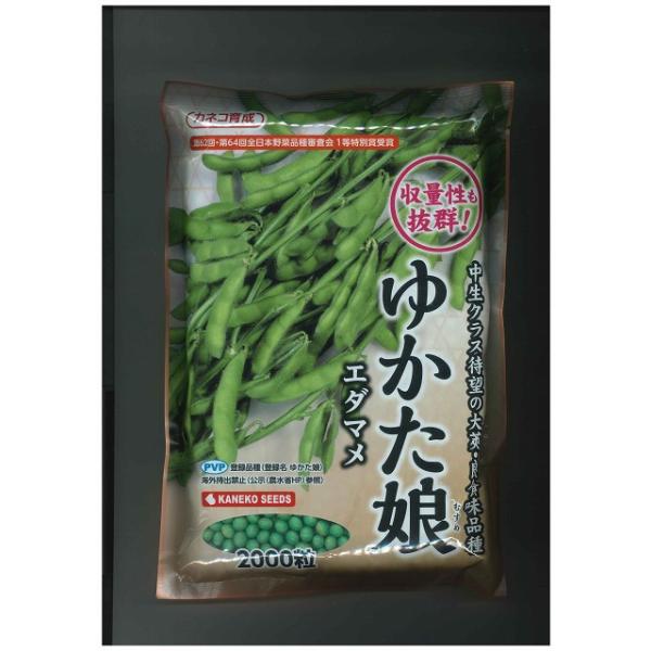 野菜種　枝豆　ゆかた娘強い甘みと独特の香りを有し、食味に優れます。種・苗・農業資材品揃え豊富！農家さん御用達のお店　グリーンロフトネモト