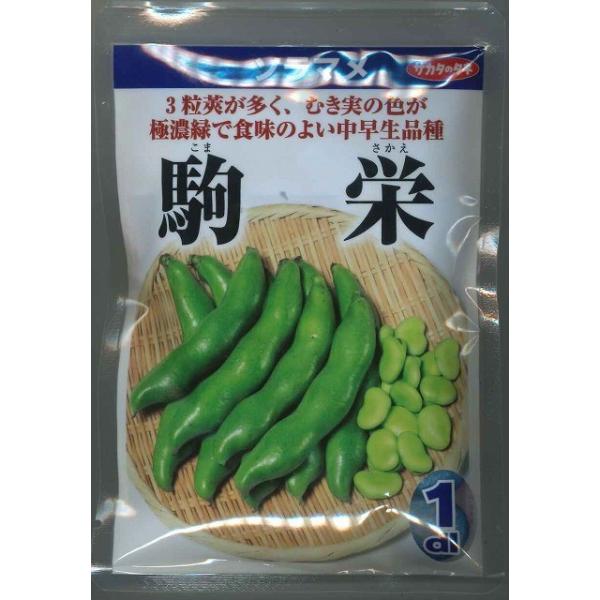 野菜種　そら豆　駒栄種・苗・農業資材品揃え豊富！農家さん御用達のお店　グリーンロフトネモト