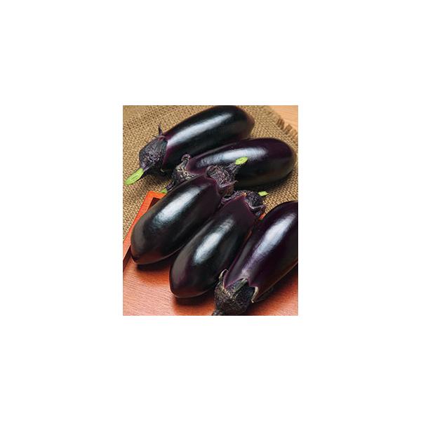 野菜種　なす　PCお竜単為結果性！低温期でも着果のよい超極早生種！種・苗・農業資材品揃え豊富！農家さん御用達のお店　グリーンロフトネモト
