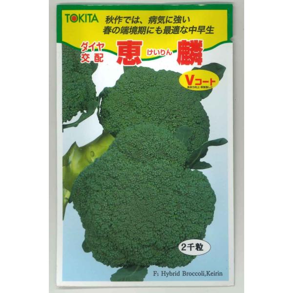 野菜種 ブロッコリー恵麟 極濃緑で締まりよい中早生 （春・秋どり栽培）種・苗・農業資材品揃え豊富！農家さん御用達のお店　グリーンロフトネモト