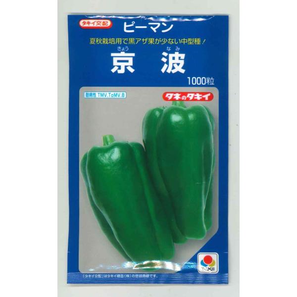 野菜種　ピーマン　京波夏秋栽培用で黒アザ果が少ない中型種！種・苗・農業資材品揃え豊富！農家さん御用達のお店　グリーンロフトネモト