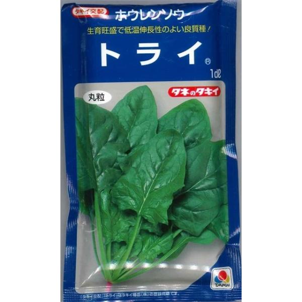 ほうれんそう　　トライ　1dl　タキイ交配