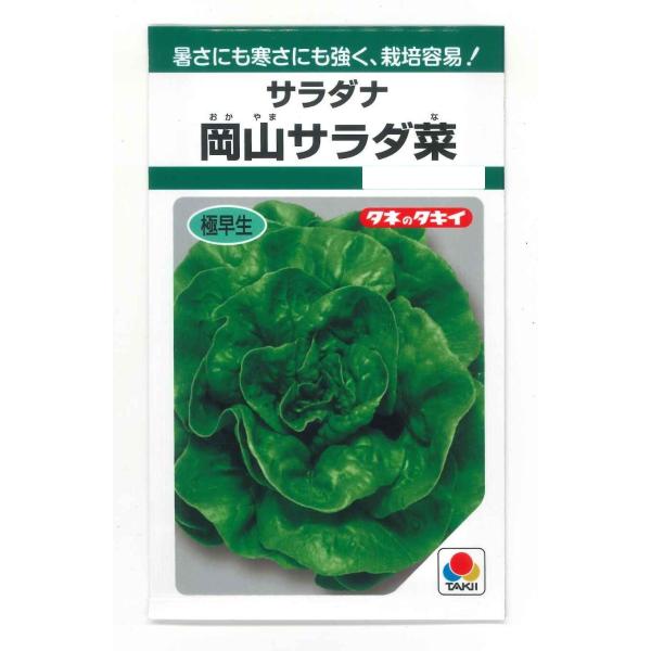 サラダナ　岡山サラダ菜　　タキイ交配種・苗・農業資材品揃え豊富！農家さん御用達のお店　グリーンロフトネモト