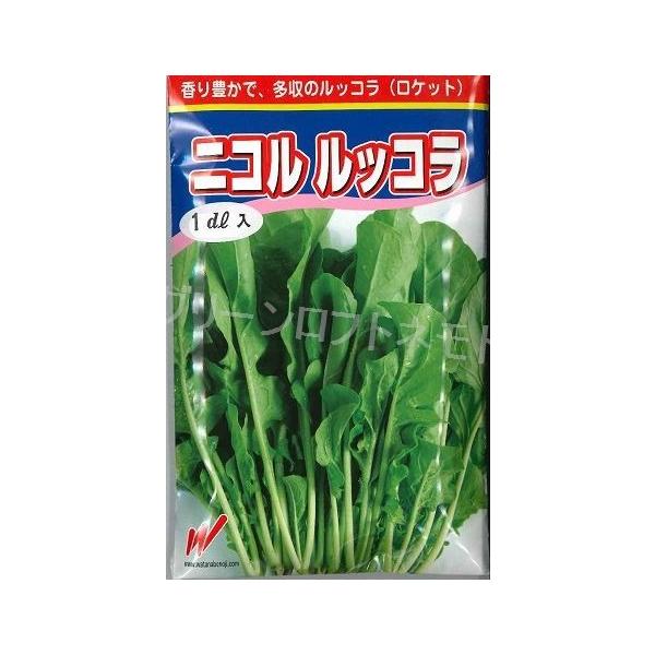 野菜種　葉物　二コル　ルッコラ種・苗・農業資材品揃え豊富！農家さん御用達のお店　グリーンロフトネモト