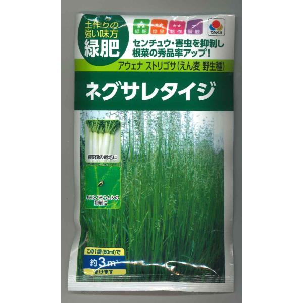 緑肥　ネグサレタイジ　タキイ種苗（株）キスジノミハムシ対策に！種・苗・農業資材品揃え豊富！農家さん御用達のお店　グリーンロフトネモト