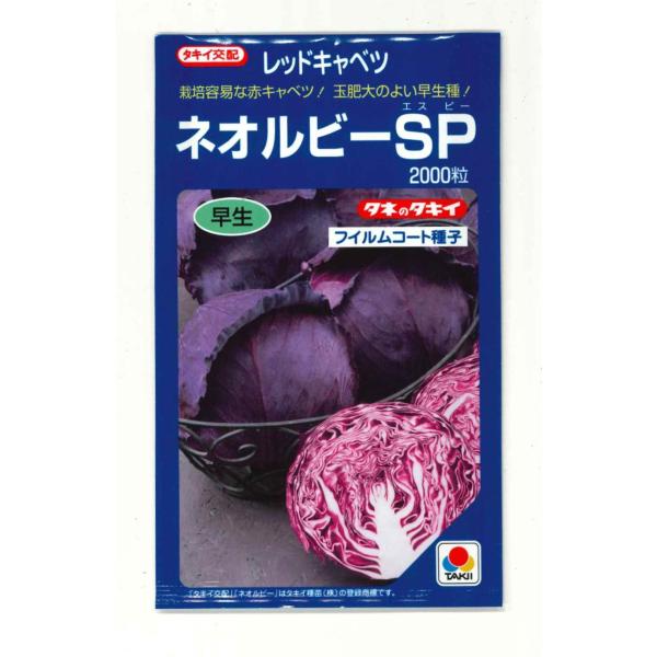 赤キャベツ！玉肥大のよい早生種！