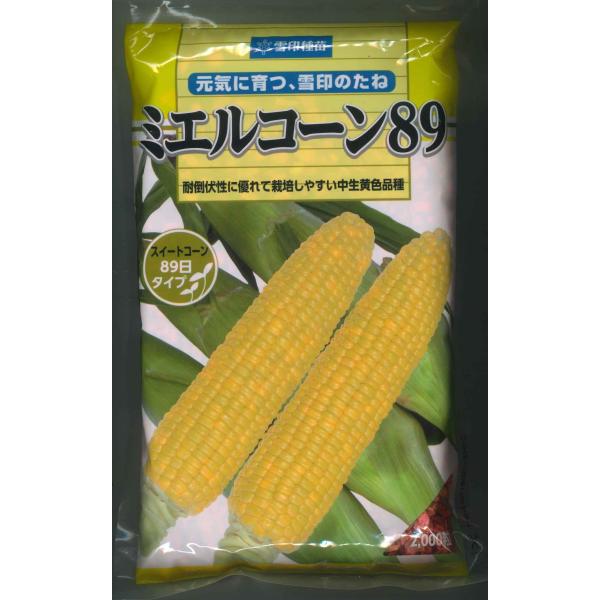 野菜種  とうもろこし　ミエルコーン89耐倒伏性に優れて栽培しやすい高温期収穫向けの中生種種・苗・農業資材品揃え豊富！農家さん御用達のお店　グリーンロフトネモト