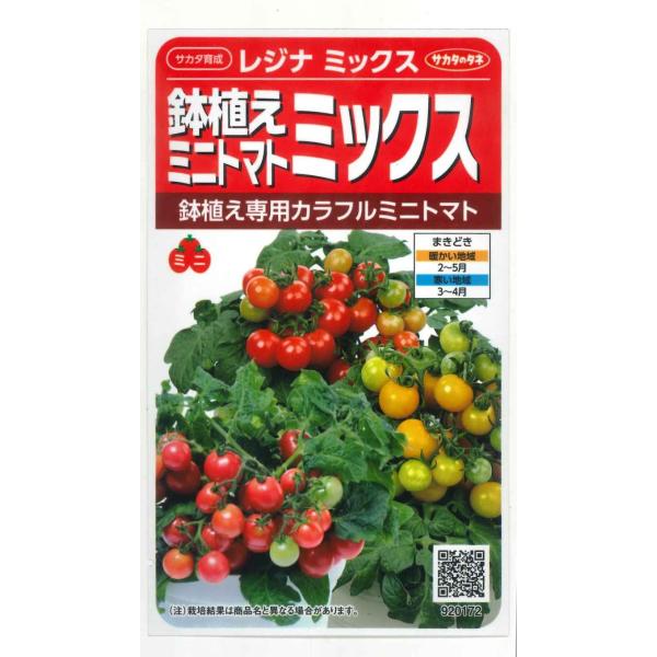 野菜種　ミニトマト　レジナミックス鉢植え専用カラフルミニトマト種・苗・農業資材品揃え豊富！農家さん御用達のお店　グリーンロフトネモト