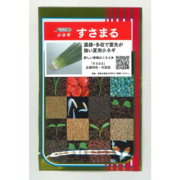 野菜種　ねぎ すさまる高温期でも十分な重さで生育、皮むき作業がしやすい2025年新品種！ 種・苗・農業資材品揃え豊富！農家さん御用達のお店　グリーンロフトネモト