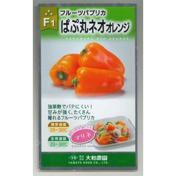 パプリカ種　　ぱぷ丸ネオ強草勢でバテにくい！甘みが強く、たくさん獲れるミニパプリカオレンジ　種・苗・農業資材品揃え豊富！農家さん御用達のお店　グリーンロフトネモト