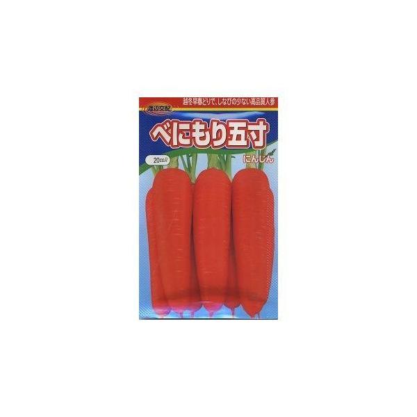 野菜種　人参 べにもり五寸　20ml 渡辺交配芯は細めで、根色・芯色ともに良く、肉質やわらかく甘さがあり、食味に優れる。種・苗・農業資材品揃え豊富！農家さん御用達のお店　グリーンロフトネモト