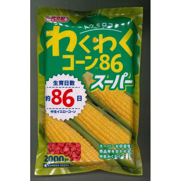 とうもろこし種　　わくわくコーン86スーパー種・苗・農業資材品揃え豊富！農家さん御用達のお店　グリーンロフトネモト