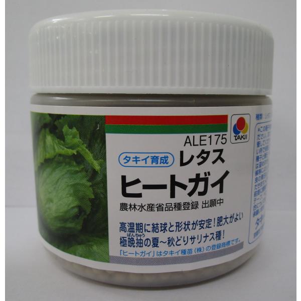野菜種　レタス　ヒートガイ高温期に結球と肥大が安定する夏〜秋どり極晩抽種！種・苗・農業資材品揃え豊富！農家さん御用達のお店　グリーンロフトネモト