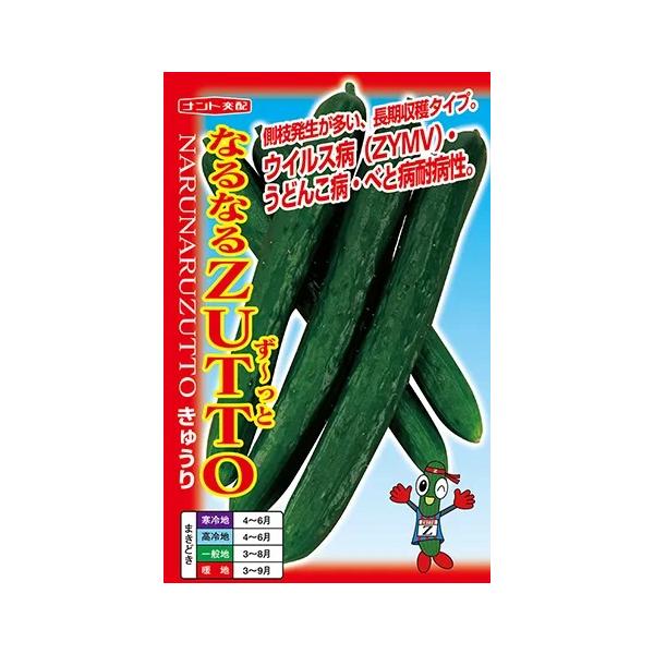 野菜種　きゅうり　なるなるZUTTO 　ウィルス病・うどんこ病・ベト病の複合耐病性で丈夫な品種。側枝の発生も多く収量が多い。種・苗・農業資材品揃え豊富！農家さん御用達のお店　グリーンロフトネモト