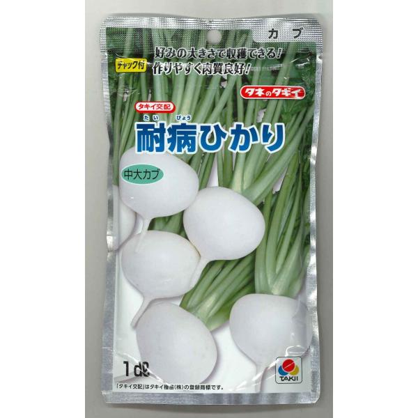 野菜種　かぶ　耐病ひかり　肌はツヤがあり、ス入りや根割れの心配は少ない種・苗・農業資材品揃え豊富！農家さん御用達のお店　グリーンロフトネモト