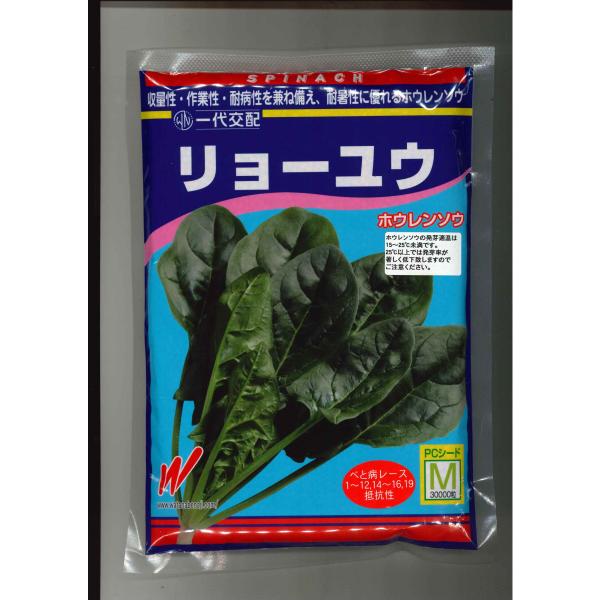 ほうれんそう　 リョーユウ 3万粒　渡辺農事（株）収量性・作業性・耐病性を兼ね備え、優れた耐暑性を持つ品種