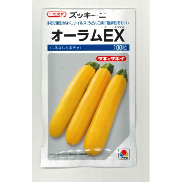 ズッキーニ オーラムEX多収で果形がよく、ウイルス病、うどんこ病に耐病性をもつ黄皮ズッキーニ！種・苗・農業資材品揃え豊富！農家さん御用達のお店　グリーンロフトネモト