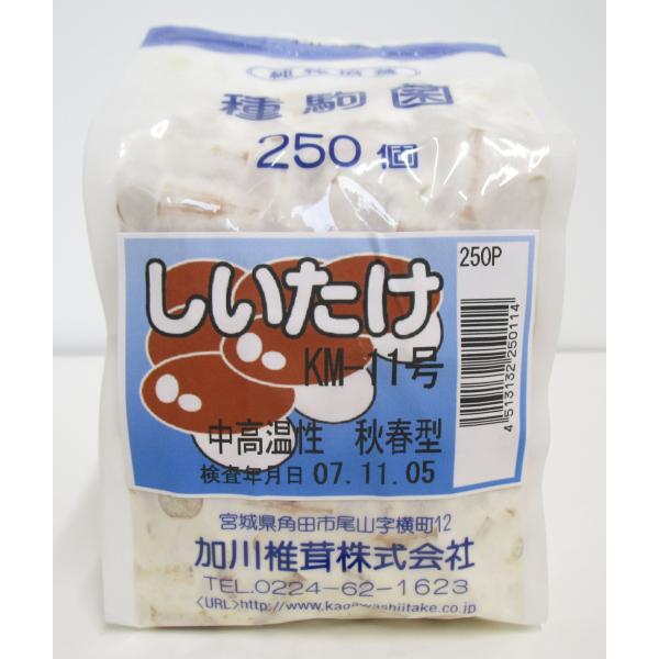 しいたけ菌　KM-11号（秋春型）原木栽培用しいたけ菌　秋にたくさん収穫！種・苗・農業資材品揃え豊富！農家さん御用達のお店　グリーンロフトネモト