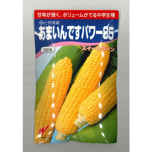 とうもろこし種　あまいんですパワー85甘みが強く、食味に優れた中早生タイプ　イエロー種種・苗・農業資材品揃え豊富！農家さん御用達のお店　グリーンロフトネモト