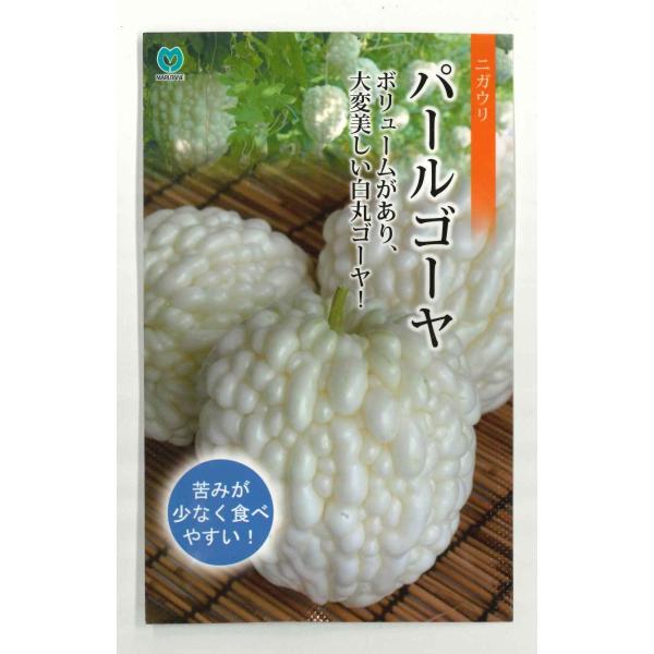 野菜種　ニガウリ　 パールゴーヤボリュームがあり、大変美しい白丸ゴーヤ!!種・苗・農業資材品揃え豊富！農家さん御用達のお店　グリーンロフトネモト