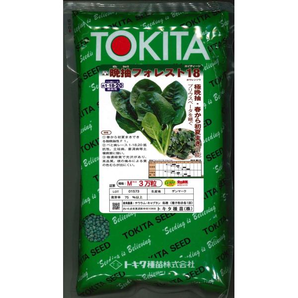ほうれんそう　晩抽フォレスト18　トキタ種苗（株）極晩中で春〜初夏まで蒔ける 濃緑ガッチリ重量タイプな夏どり早生