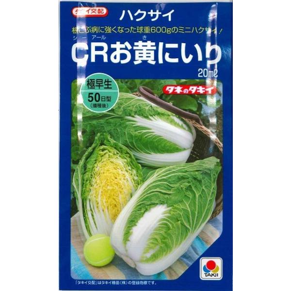 野菜種　白菜　CRお黄にいり小さい面積でも密植できます。種・苗・農業資材品揃え豊富！農家さん御用達のお店　グリーンロフトネモト
