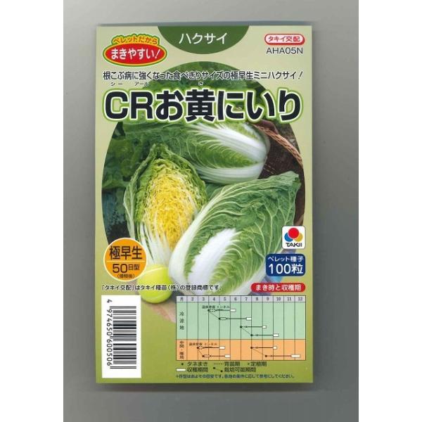 野菜種　白菜　CRお黄にいり小さい面積でも密植できます。種・苗・農業資材品揃え豊富！農家さん御用達のお店　グリーンロフトネモト