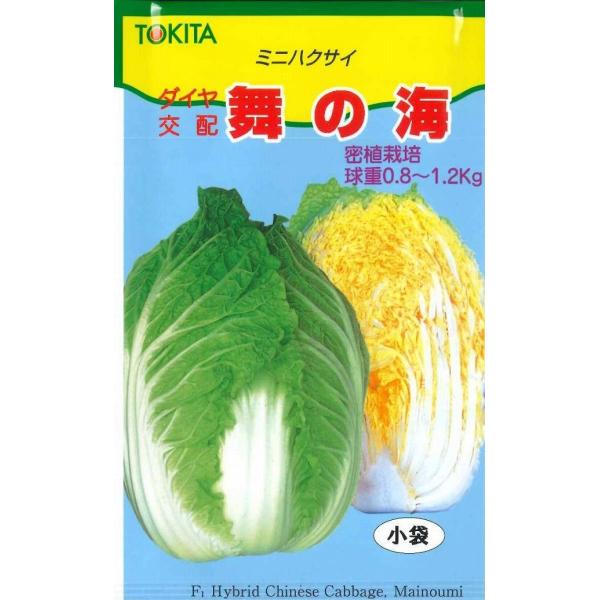 野菜種　白菜　舞の海　種・苗・農業資材品揃え豊富！農家さん御用達のお店　グリーンロフトネモト