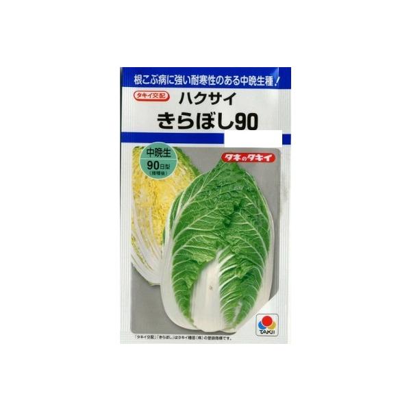 野菜種　白菜　きらぼし90玉の肥大がよく、球姿は尻張り・胴張りのよい砲弾形。球内色は鮮黄色で、葉質がやわらかい。種・苗・農業資材品揃え豊富！農家さん御用達のお店　グリーンロフトネモト