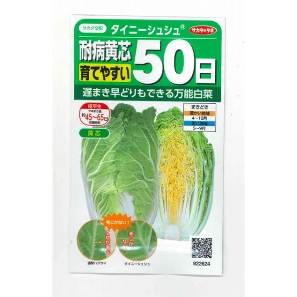 野菜種　白菜　タイニーシュシュ生食がおすすめ！やわらかくて食べやすいと好評！種・苗・農業資材品揃え豊富！農家さん御用達のお店　グリーンロフトネモト