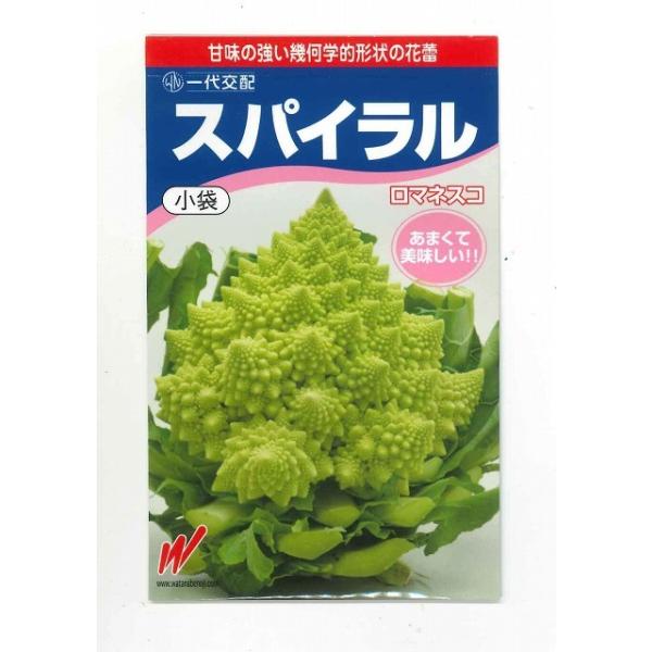 野菜種 カリフラワー スパイラル一般的なカリフラワーと比べ甘味が強いので甘味を活かすには加熱時間は控えめがよい。種・苗・農業資材品揃え豊富！農家さん御用達のお店　グリーンロフトネモト