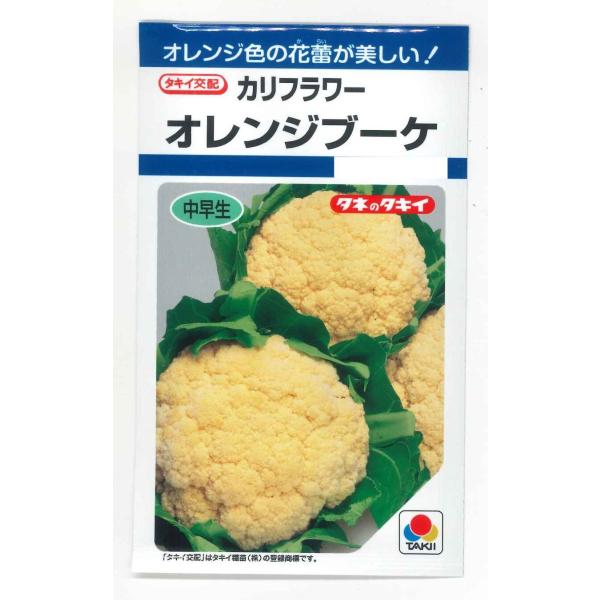 1割引き！ 野菜種　カリフラワー オレンジブーケ花蕾面は鮮やかなオレンジ色で、花肉は淡黄色。加熱料理後も変色なく食味がよい種・苗・農業資材品揃え豊富！農家さん御用達のお店　グリーンロフトネモト