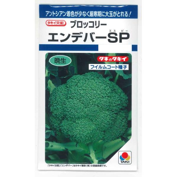 野菜種 ブロッコリー エンデバーＳＰ花蕾は鮮緑色で、アントシアン着色が少ないドーム形。種・苗・農業資材品揃え豊富！農家さん御用達のお店　グリーンロフトネモト
