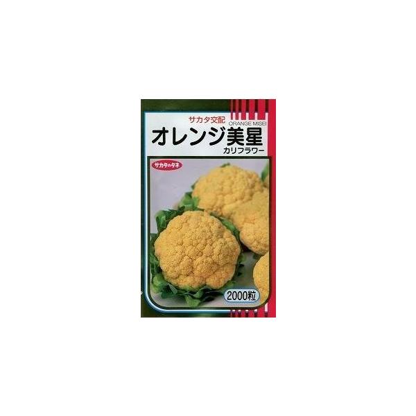 野菜種　カリフラワー　オレンジ美星直径10ｃｍ程度で収穫するのが良い種・苗・農業資材品揃え豊富！農家さん御用達のお店　グリーンロフトネモト