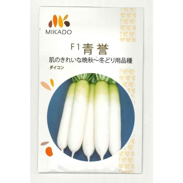 野菜種 大根 青誉　肌のきれいな晩秋〜冬どり用品種種・苗・農業資材品揃え豊富！農家さん御用達のお店　グリーンロフトネモト