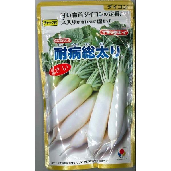 野菜種　大根　耐病総太り秋の適期栽培では根長38cm、根径8cm程度によく整う。種・苗・農業資材品揃え豊富！農家さん御用達のお店　グリーンロフトネモト