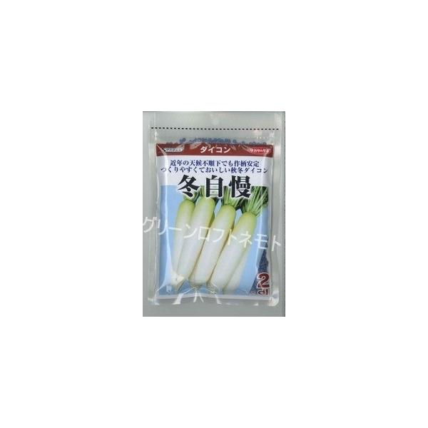野菜種　大根　冬自慢メガヒット！店頭人気品種です。肌はなめらかでツヤがあり、ス入りが遅く肉質にすぐれます。種・苗・農業資材品揃え豊富！農家さん御用達のお店　グリーンロフトネモト