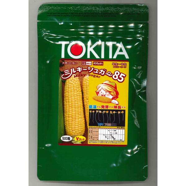 とうもろこし　ミルキーシュガー85ミルキースイーツシリーズ新品種！種・苗・農業資材品揃え豊富！農家さん御用達のお店　グリーンロフトネモト