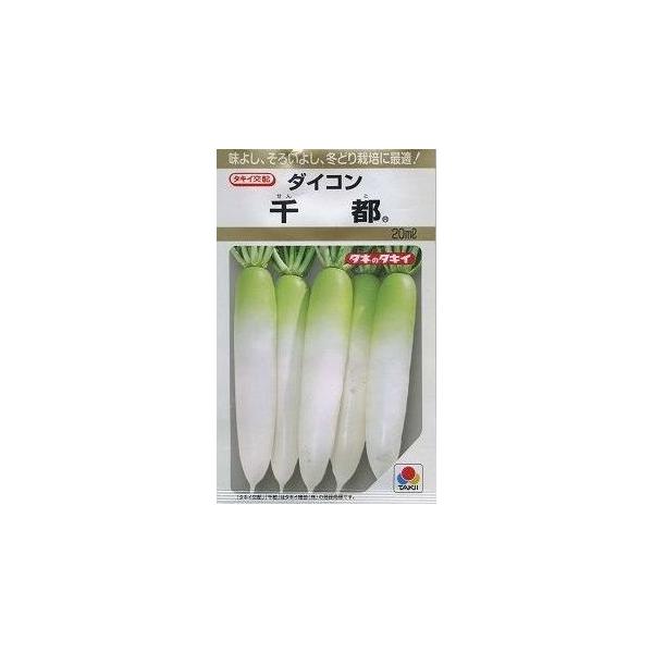 野菜種 ダイコン 千都そろいがよく、肉質上々。尻づまりのよい総太り型で、そろいがよく秀品率が高い。種・苗・農業資材品揃え豊富！農家さん御用達のお店　グリーンロフトネモト