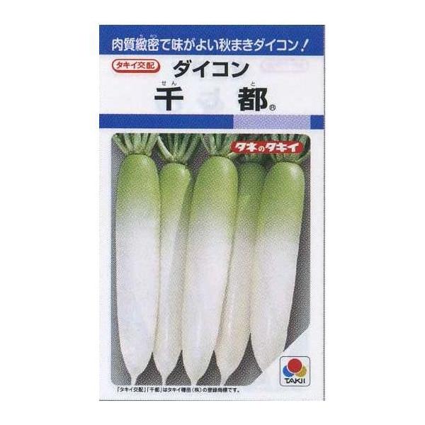野菜種 ダイコン 千都そろいがよく、肉質上々。尻づまりのよい総太り型で、そろいがよく秀品率が高い。種・苗・農業資材品揃え豊富！農家さん御用達のお店　グリーンロフトネモト