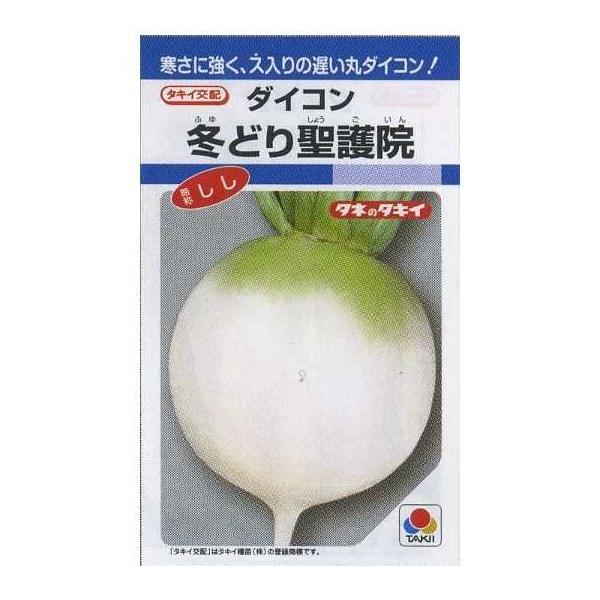 野菜種　ダイコン　冬どり聖護院肌が美しく肉質が緻密で、おでんなどの煮食用に最適する。種・苗・農業資材品揃え豊富！農家さん御用達のお店　グリーンロフトネモト