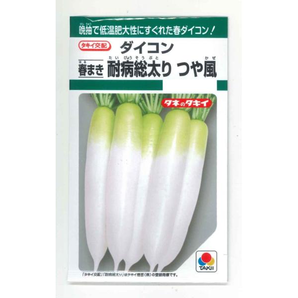 1割引き！ 野菜種　大根 つや風病気に強く、作りやすい。萎黄病などの病害に強く、吸肥力が安定しているので、土壌適応性が広く作りやすい。 種・苗・農業資材品揃え豊富！農家さん御用達のお店　グリーンロフトネモト
