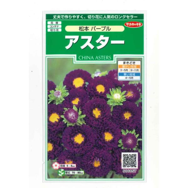 花の種　アスター　松本パープル暑い夏でも花もちがよく、お盆の花として人気のロングセラー品種種・苗・農業資材品揃え豊富！農家さん御用達のお店　グリーンロフトネモト
