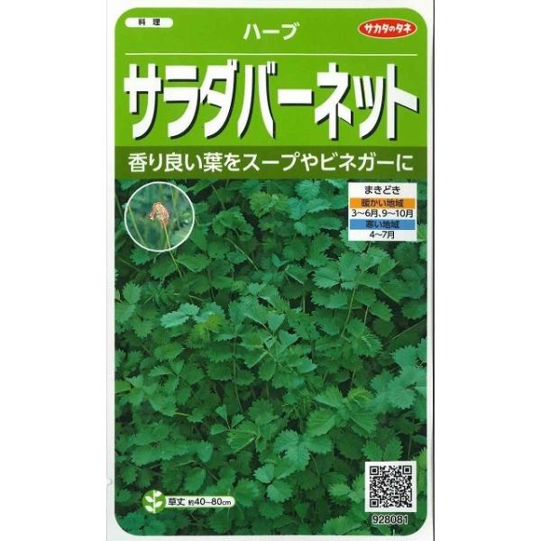 ハーブの種　タイム　香り良い葉をスープやビネガーに。種・苗・農業資材品揃え豊富！農家さん御用達のお店　グリーンロフトネモト