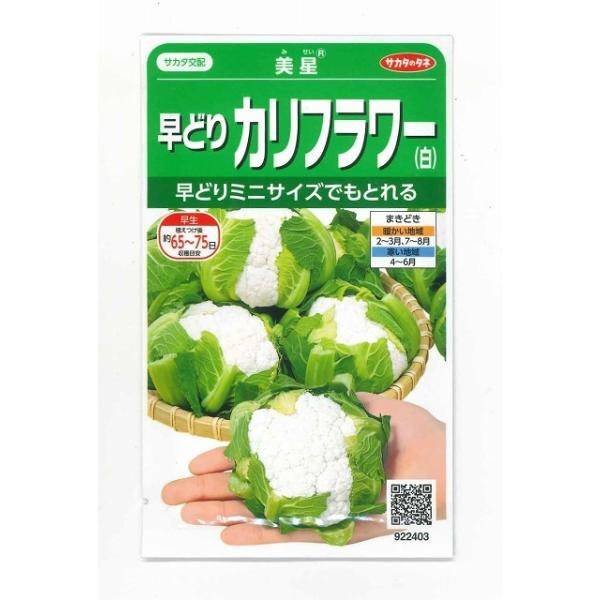 野菜種 カリフラワー 美星 食彩直径10センチメートル程度（350ｇ）の花蕾で収穫すると最も特性を発揮します。 種・苗・農業資材品揃え豊富！農家さん御用達のお店　グリーンロフトネモト