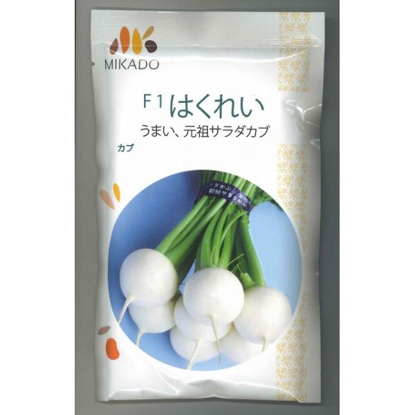 野菜種　かぶ　はくれい生食のほか、漬けもの、煮物でも美味しい。種・苗・農業資材品揃え豊富！農家さん御用達のお店　グリーンロフトネモト