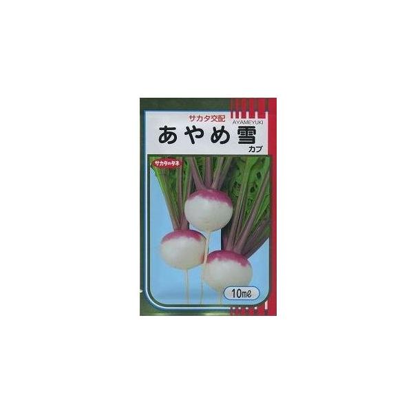 野菜種　かぶ　あやめ雪サラダや酢漬けにおすすめです種・苗・農業資材品揃え豊富！農家さん御用達のお店　グリーンロフトネモト