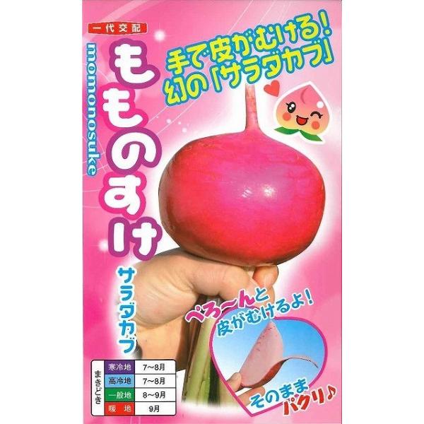 野菜種　カブ　 もものすけ白さび病には強く栽培しやすいです。種・苗・農業資材品揃え豊富！農家さん御用達のお店　グリーンロフトネモト