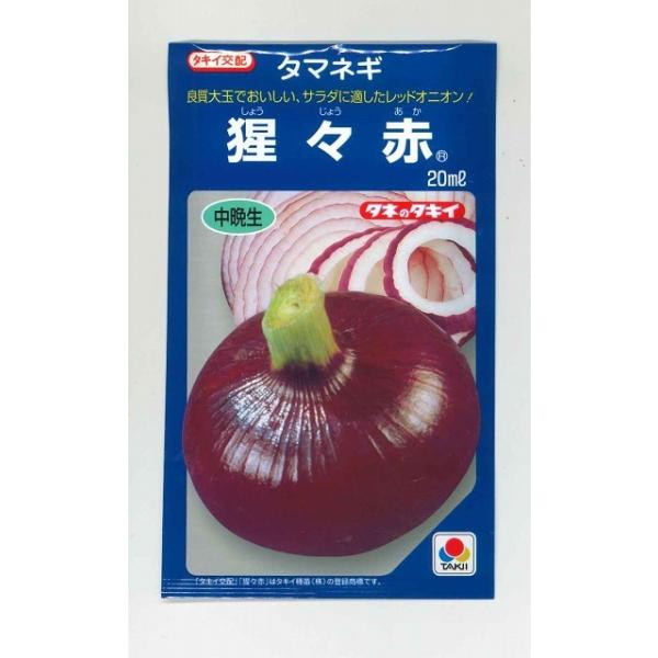 野菜種　たまねぎ 猩々赤　玉は厚みのある扁円で、1球平均320g程度の大玉によくそろう。種・苗・農業資材品揃え豊富！農家さん御用達のお店　グリーンロフトネモト